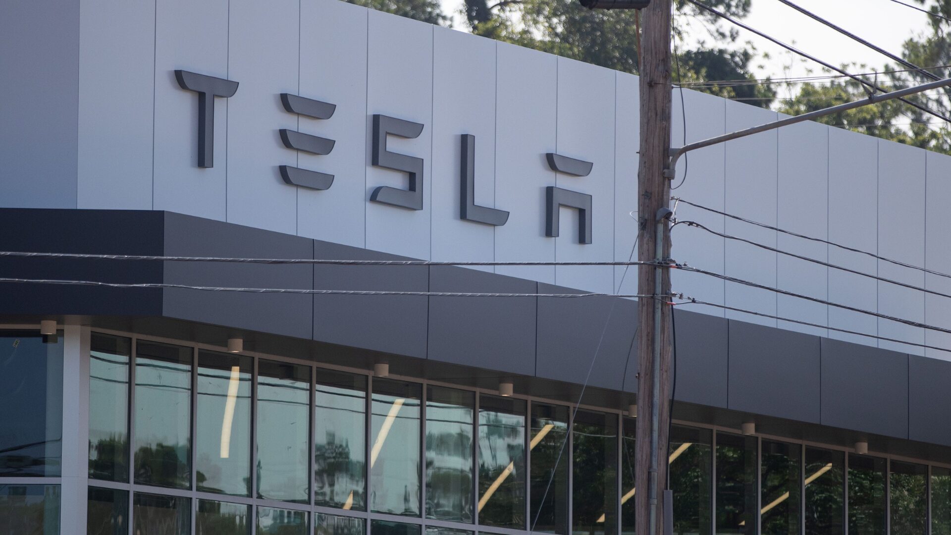 Trans Activist Arrested for Firebombing Tesla Dealership in Alleged ...